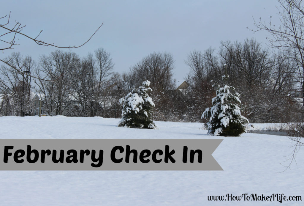 February Check In – How To Make A Life